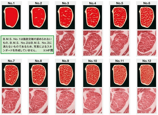 牛肉でよく聞くBMSって何？A5やA4とどう違うの？ - 牛肉会